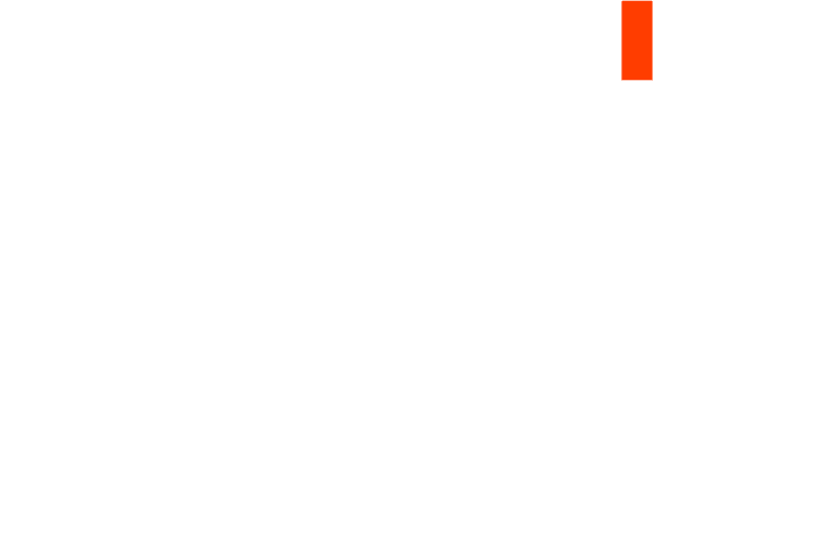 Custom Wall Ball targets | CrossFit | HYROX - Reps and Prints